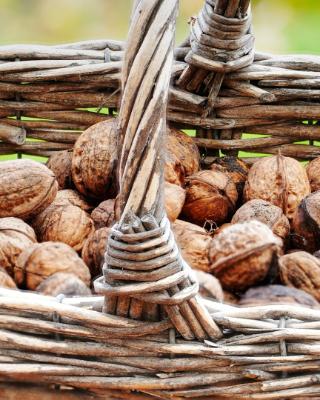 Peut-on mettre des coquilles de noix dans le compost ? - Conseil de ...