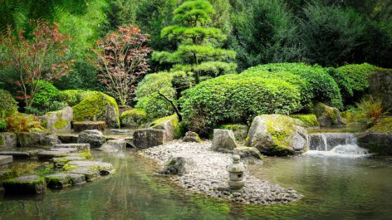 Les cailloux pour un jardin déco