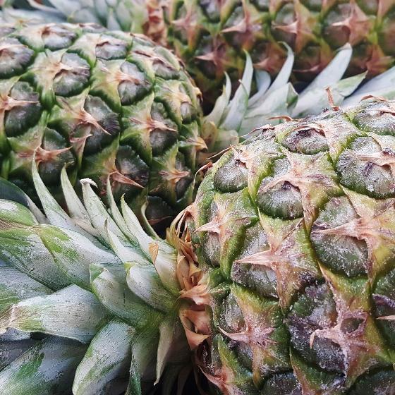 Peut-on mettre des coquilles de noix dans le compost ? - Conseil de ...