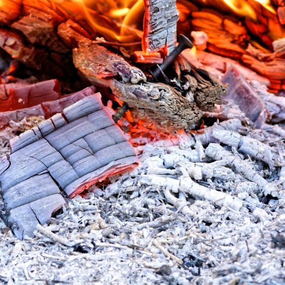 Peut-on mettre des coquilles de noix dans le compost ? - Conseil de ...